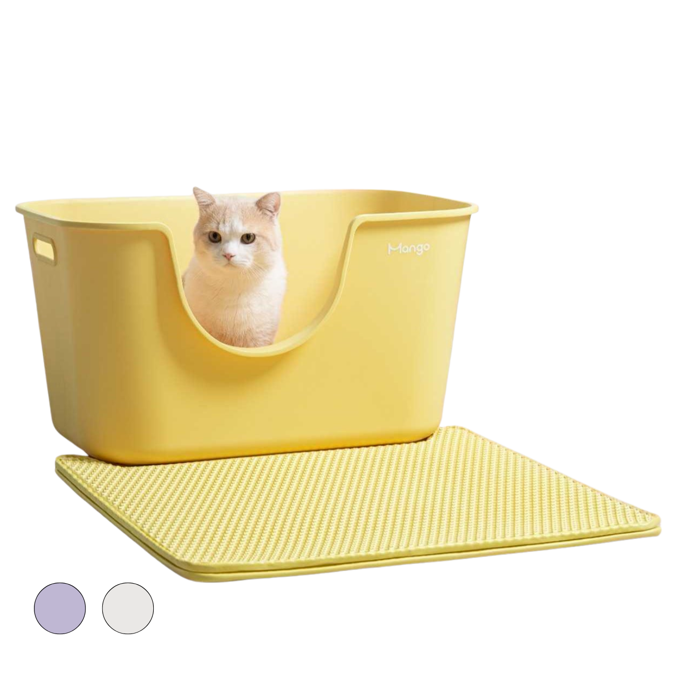 XL Long Litter Box – EcoLeo